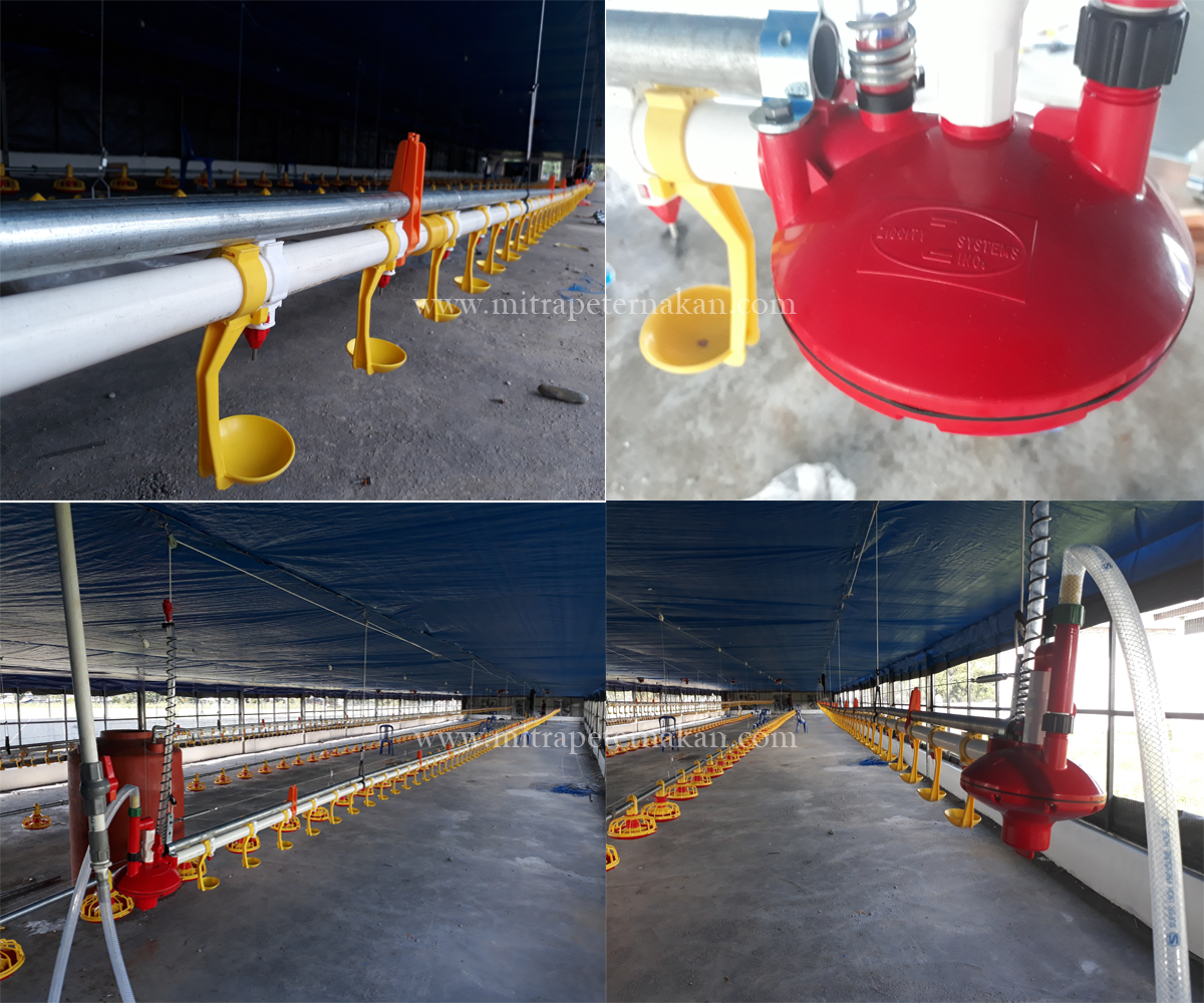 Seberapa Penting Penggunaan Kandang Closed House – Mitra Peternakan